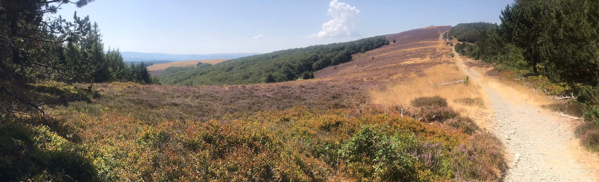 GR®68 Segment 4: Florac - Saint-Maurice-de-Ventalon: 4 Reviews, Map ...