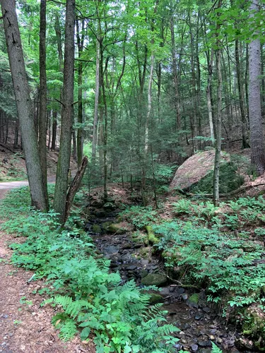 Best 10 Hikes and Trails in Mount Toby State Forest | AllTrails