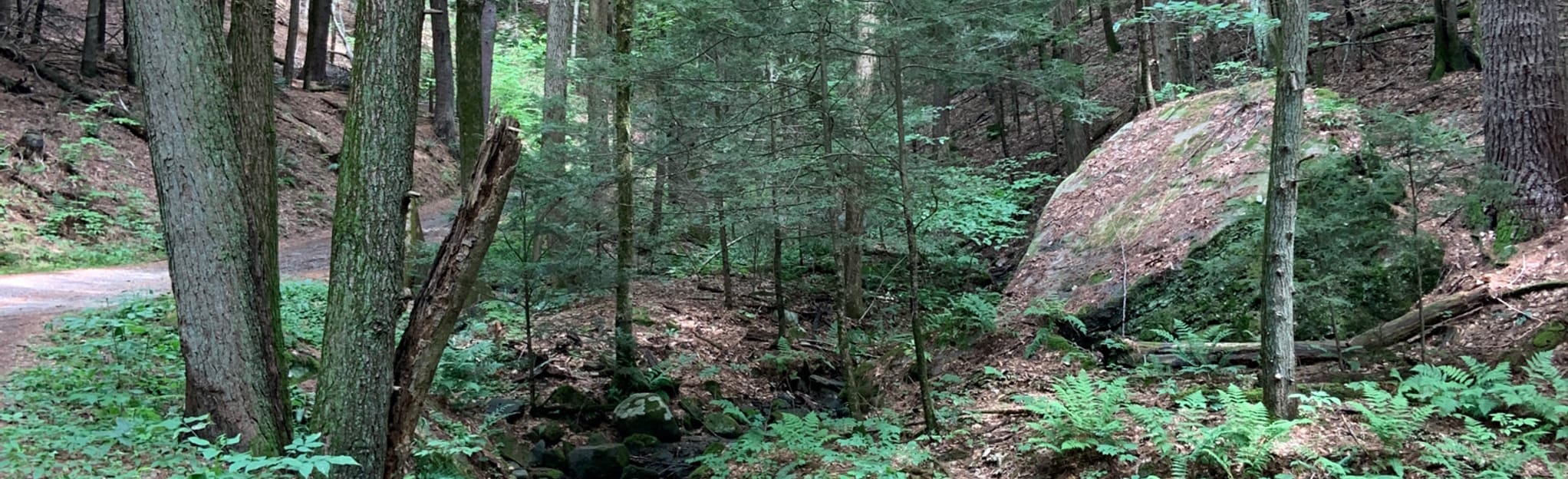 Mt Toby Loop, 18 Photos - Massachusetts | AllTrails