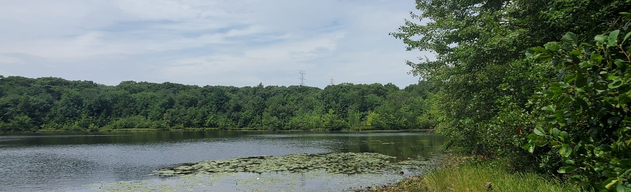 Cranberry Pond Via Red Trail Loop, Massachusetts - 149 Reviews, Map ...