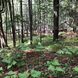 Seward Mountains and Cold River Loop, New York - 19 Reviews, Map ...