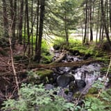 Seward Mountains and Cold River Loop, New York - 19 Reviews, Map ...