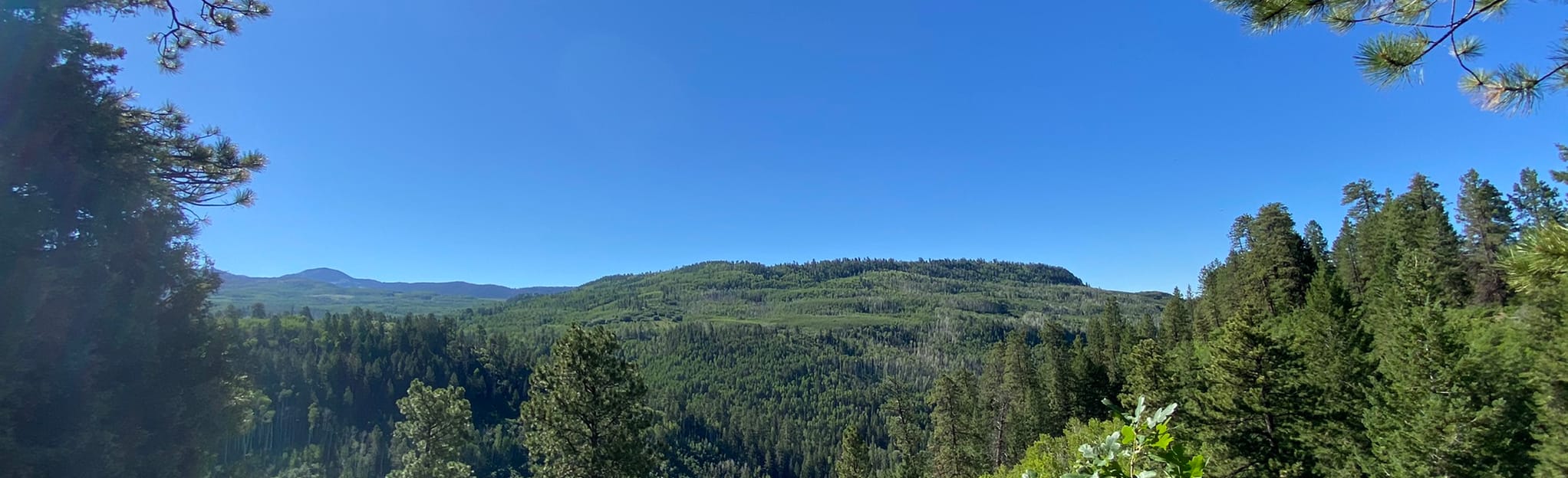 Box Canyon Trail - Colorado | AllTrails