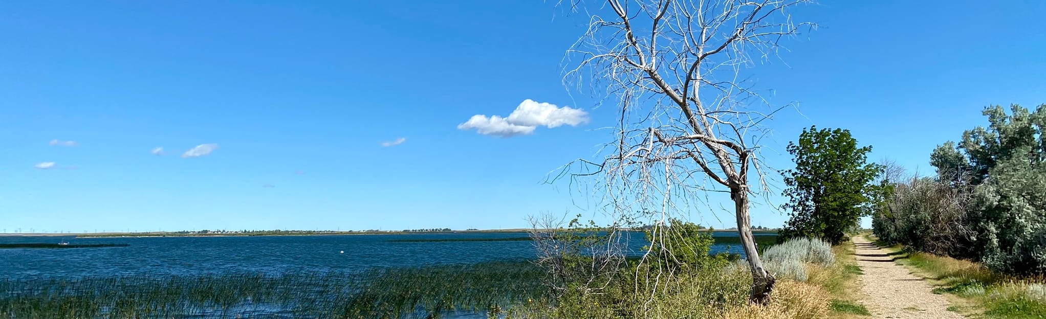 Kinbrook Island Loop via Marsh Trail, Saskatchewan, Canada - 86 Reviews ...