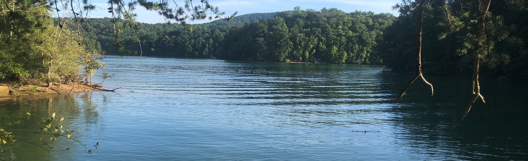 Lake Blue Ridge Loop , Georgia - 706 Reviews, Map | AllTrails