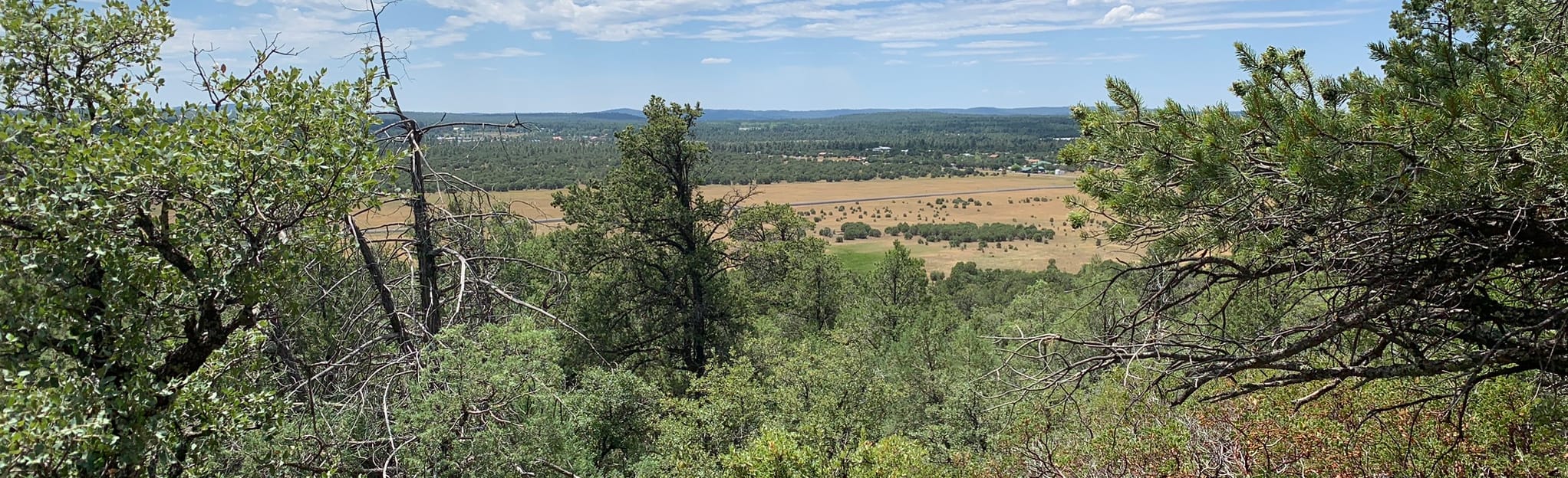 Timber Mesa Trail, Arizona - 513 Reviews, Map | AllTrails