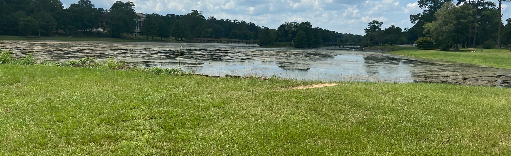 Spring Hill Lake Loop | Map, Guide - Alabama | AllTrails