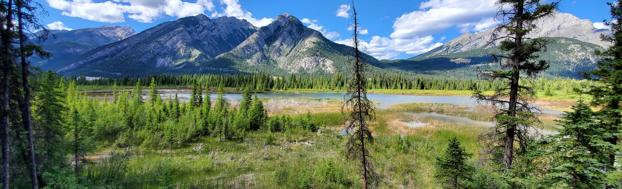 Marsh Loop: 480 Reviews, Map - Alberta, Canada | AllTrails
