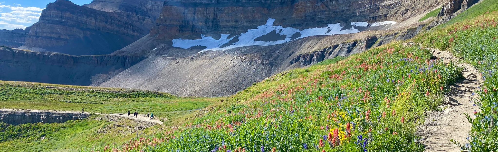 Mount Timpanogos via Timpooneke Trail, Utah - 4,768 Reviews, Map ...