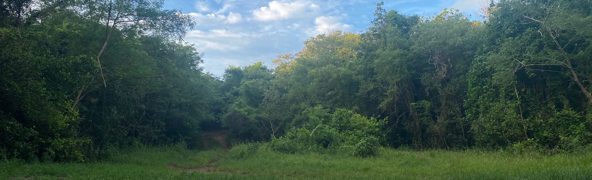 Marbo Cave Trail, Dededo, Guam - 24 Reviews, Map | AllTrails