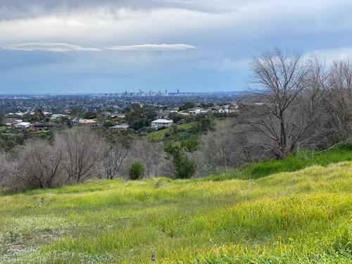 2023 Best Moderate Trails in Shepherds Hill Recreation Park | AllTrails