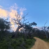 Neerabup Nature Reserve, Western Australia, Australia - 32 Reviews, Map ...