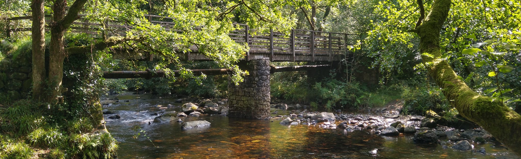 West Devon Way and Peter Tavy Circular: 65 Reviews, Map - Devon ...