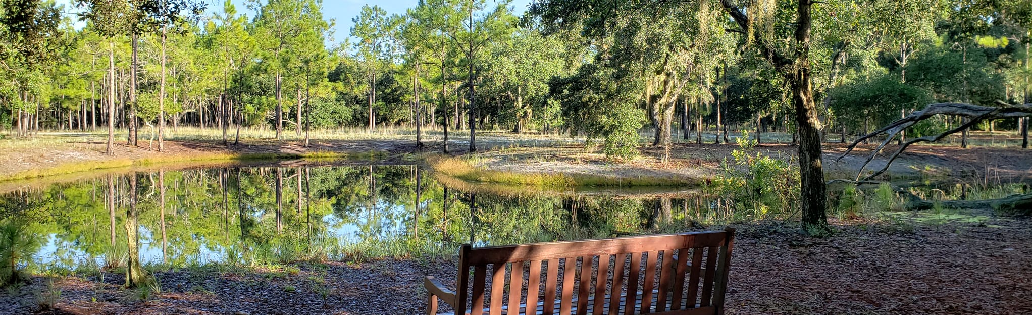 Crosby Island Marsh Loop Trail: 57 Reviews, Map - Florida | AllTrails