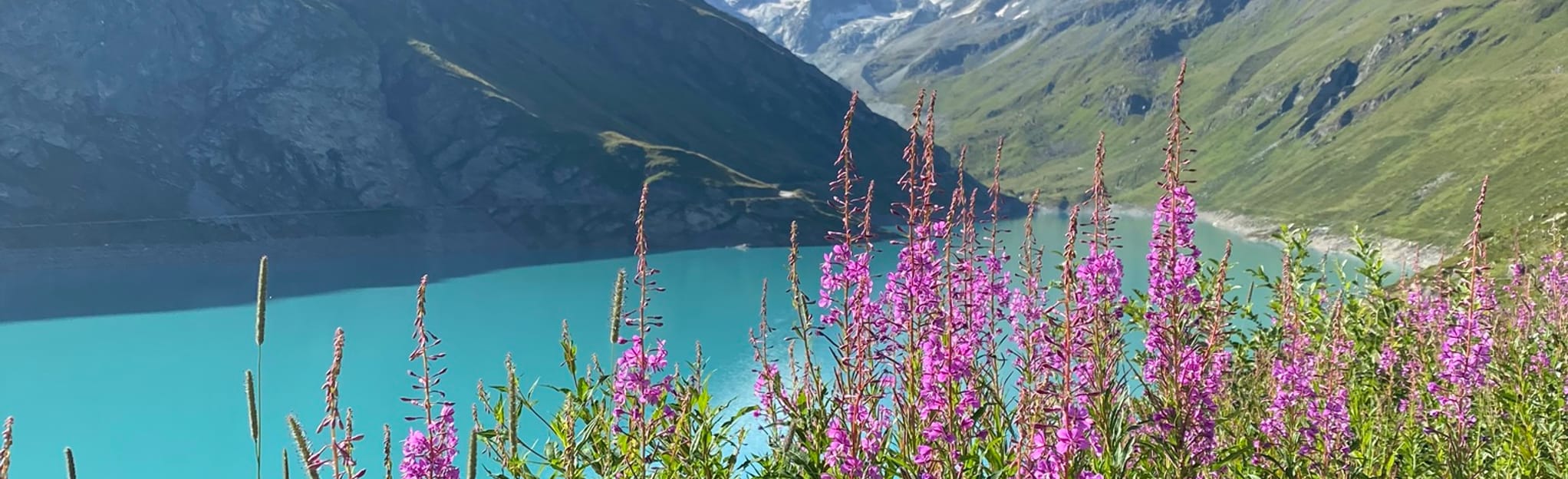Lac de Moiry - Pas de Lona - Grimentz - Valais, Switzerland | AllTrails