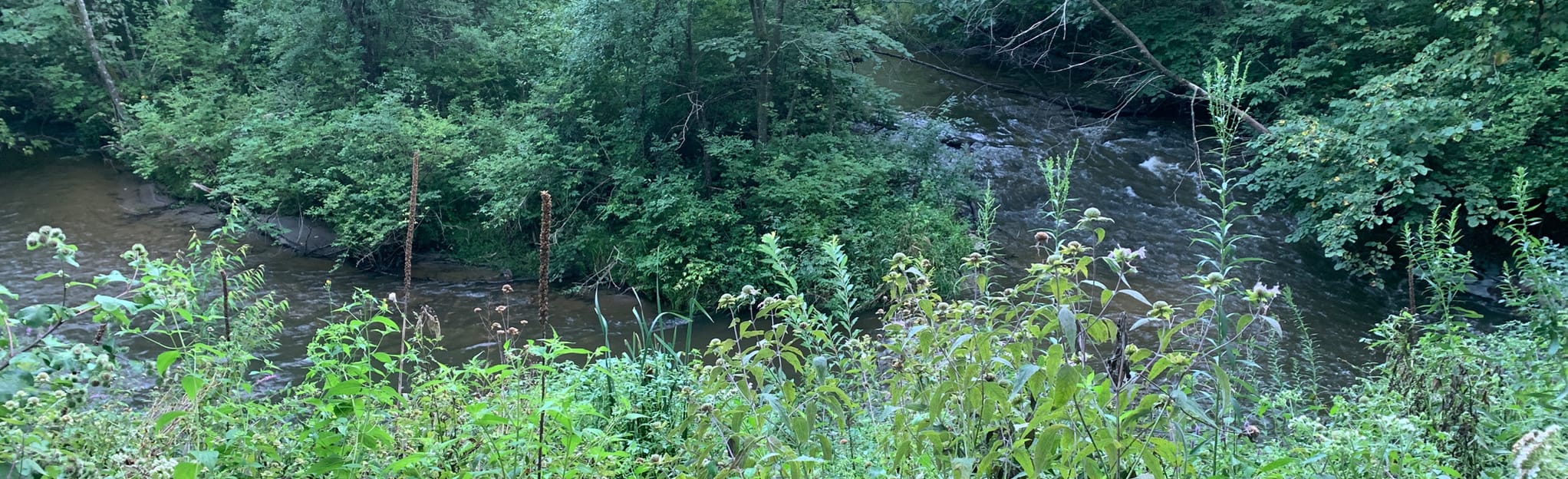 Lower Purgatory Creek Conservation Area Hiking Trail, Minnesota - 109 ...