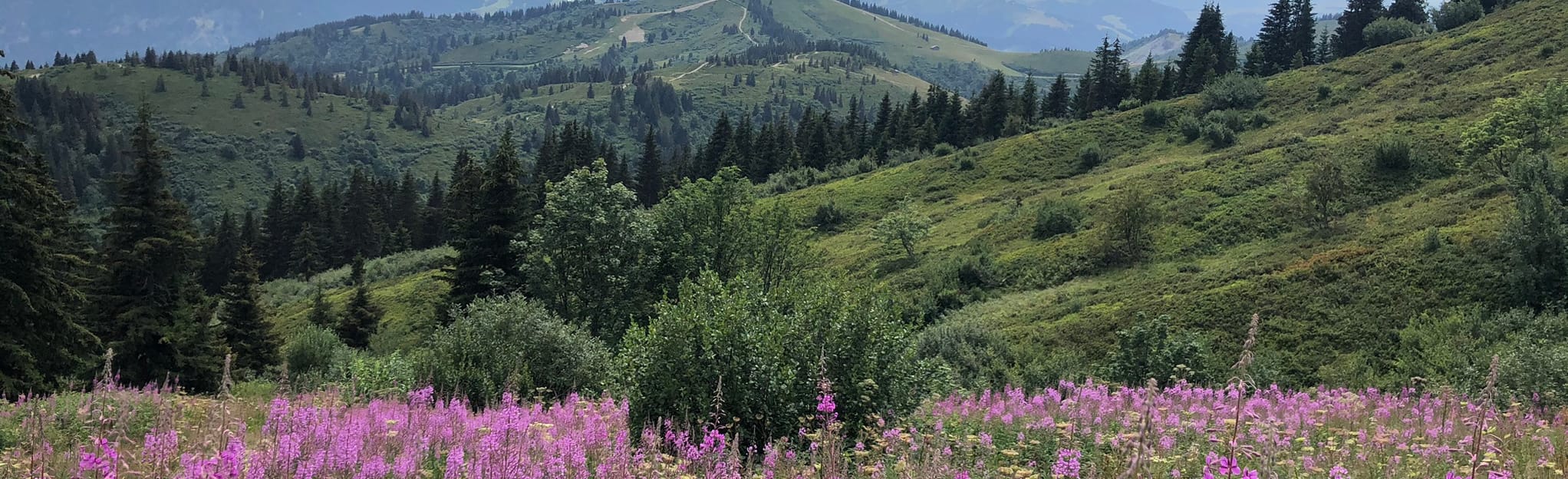 Croisse Baulet via Col du Jaillet, Haute-Savoie, France - 37 Reviews ...