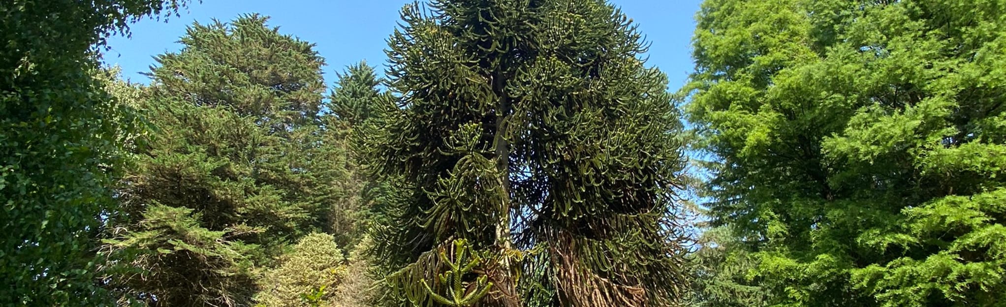 Forest Circular: 118 foto's - Gloucestershire, Engeland | AllTrails