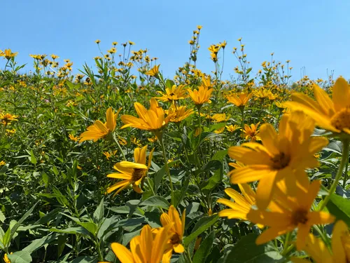 Best Hikes and Trails in Bergfield Recreation Area | AllTrails