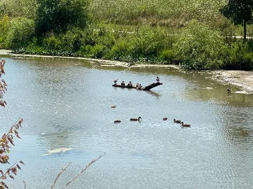 Best Hikes and Trails in Bergfield Recreation Area | AllTrails