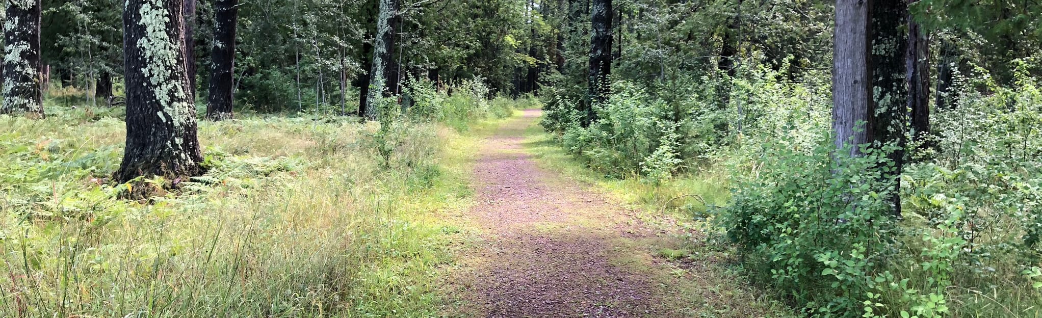 Madeline Island: Capser and Nucy Meech Trail: 56 Reviews, Map ...