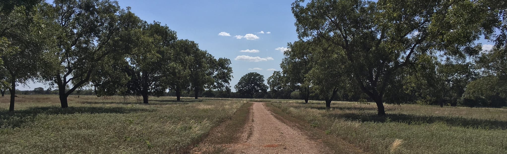 LBJ Ranch Driving Tour : 25 Photos - Texas | Randonnée | AllTrails