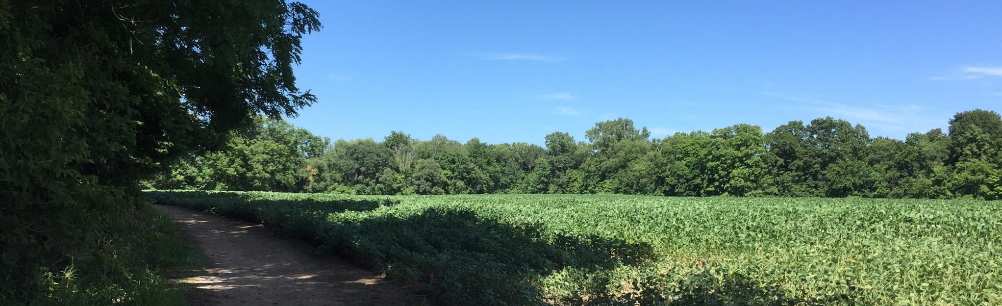 Strathroy Memorial Trail Loop: 198 Reviews, Map - Ontario, Canada ...