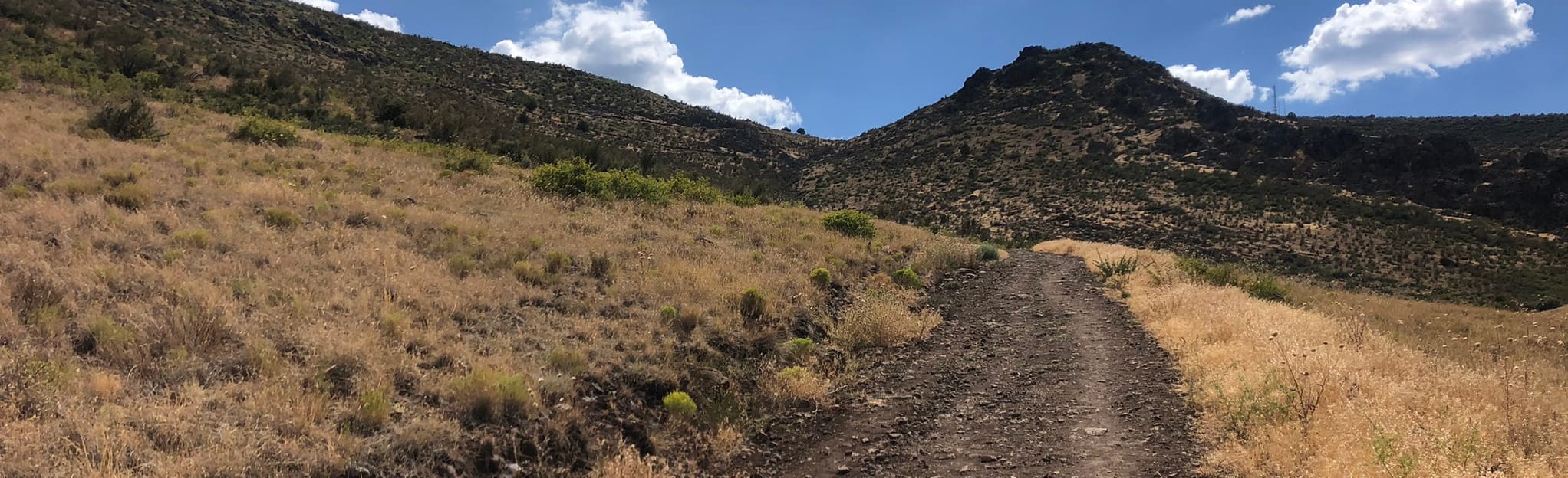 Glassford Summit Trail: 1,026 Reviews, Map - Arizona | AllTrails