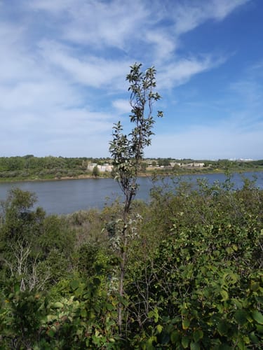 2023 Best 10 Trails and Hikes in Meewasin Valley Authority | AllTrails