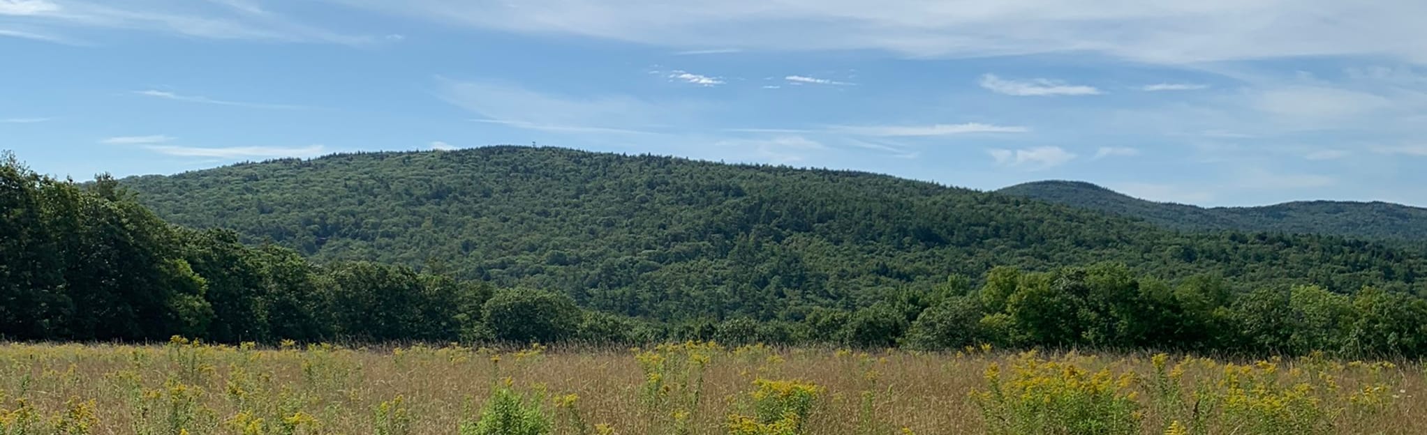 Cunningham Pond Loop | Map, Guide - New Hampshire | AllTrails