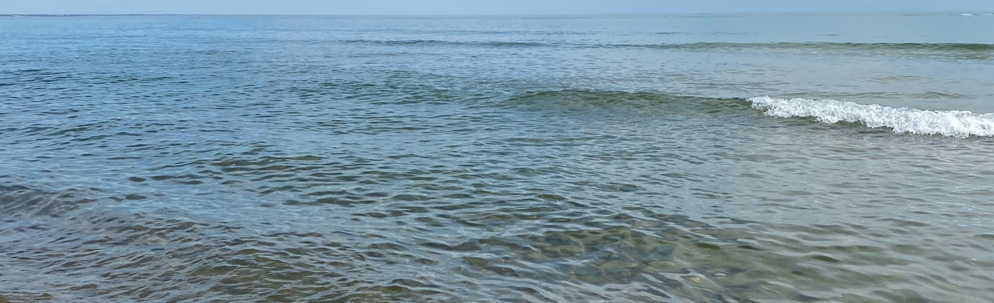 Salisbury Beach Loop: 48 Reviews, Map - Massachusetts | AllTrails