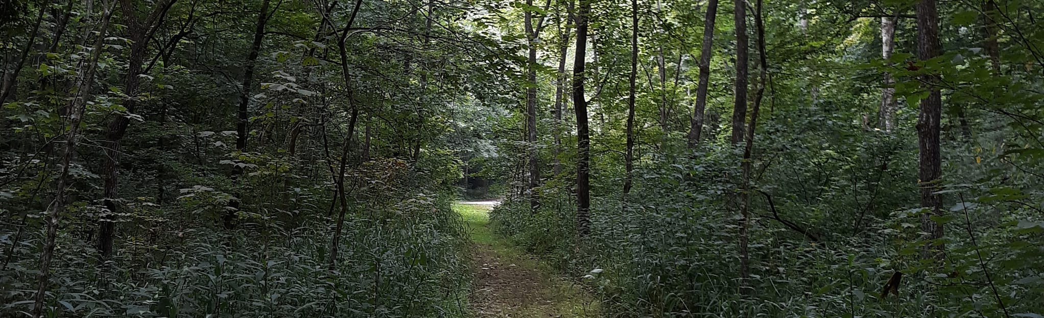 Oak Ridge Trail: 125 Reviews, Map - Ohio | AllTrails