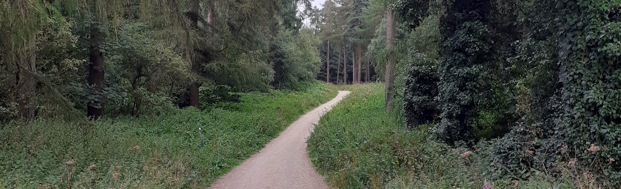 Yearsley Moor Circular: 158 foto - North Yorkshire, Inghilterra | AllTrails