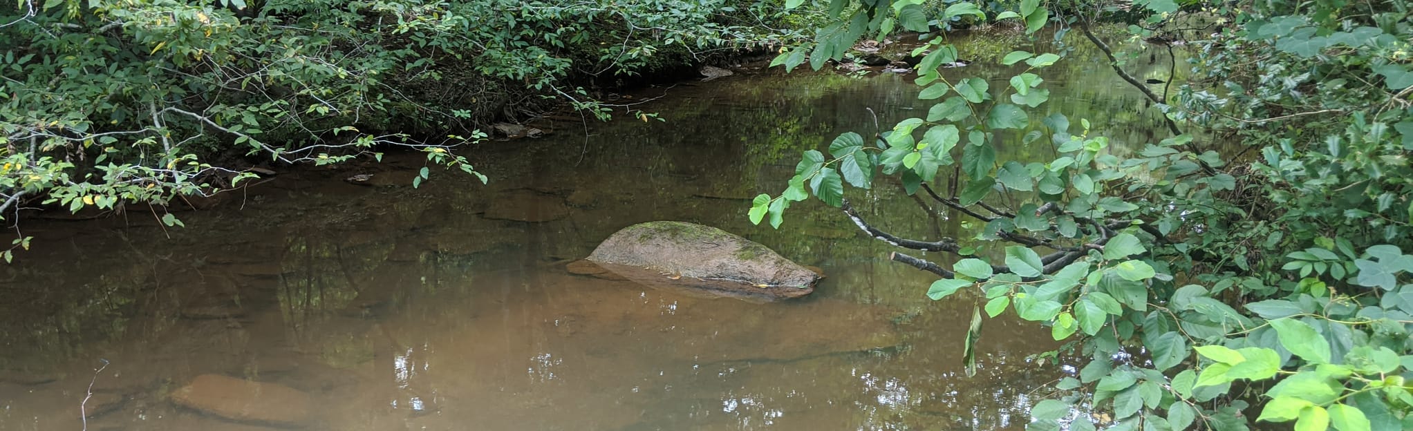 Peter's Creek Heritage Trail | Mapa, Roteiro - South Carolina | AllTrails
