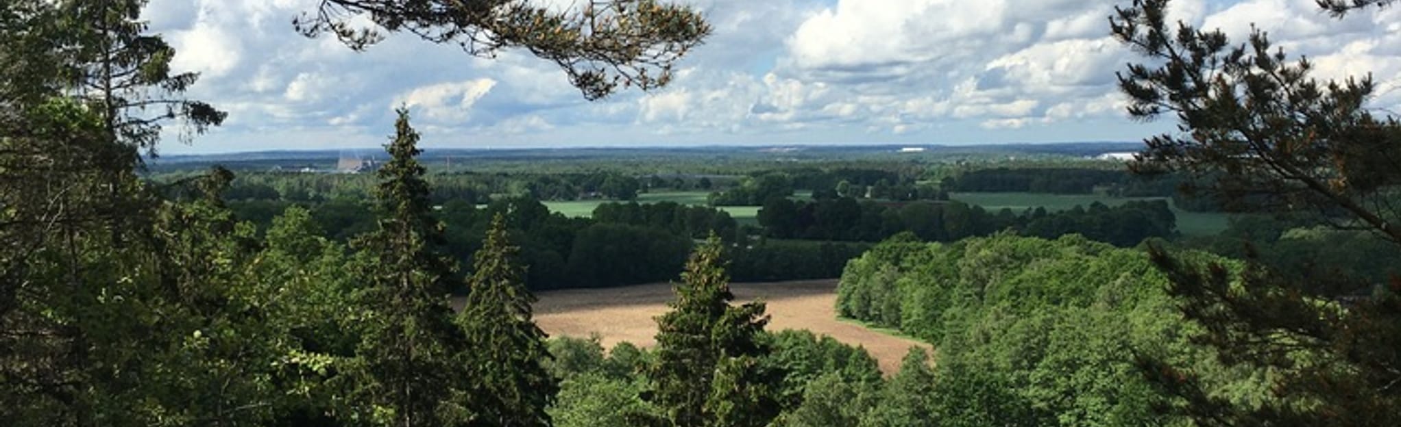 Halle und Hunnebergplateau: Halleberg Rundweg: 86 Fotos - Västra ...