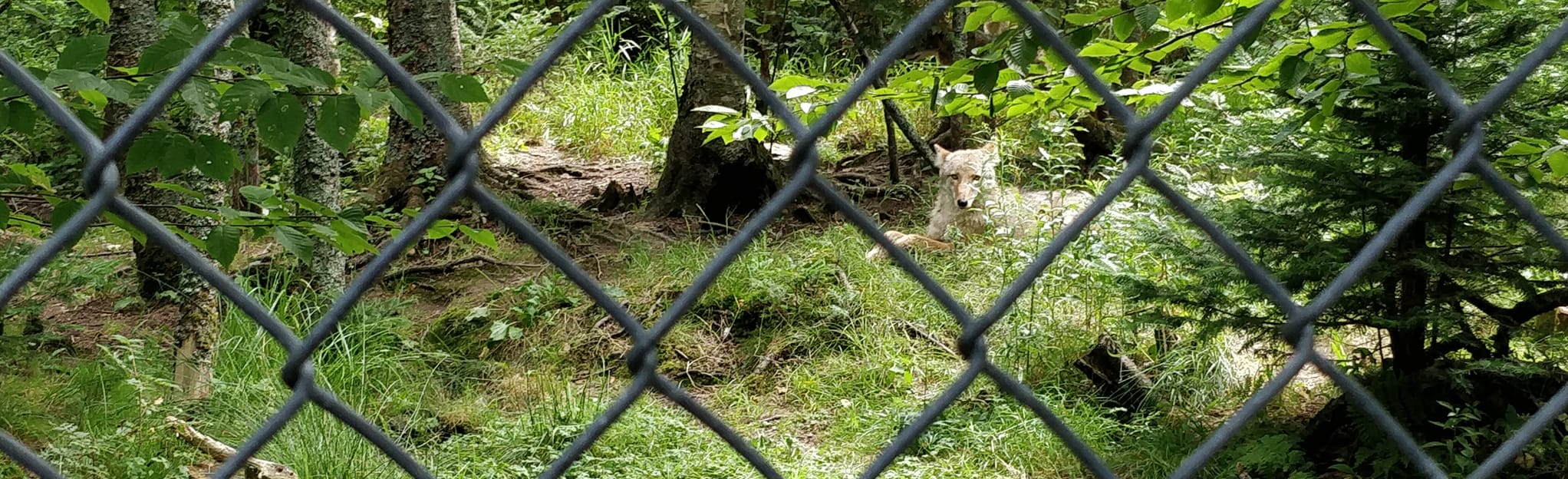 Two Rivers Wildlife Trail, Nova Scotia, Canada - 7 Reviews, Map | AllTrails