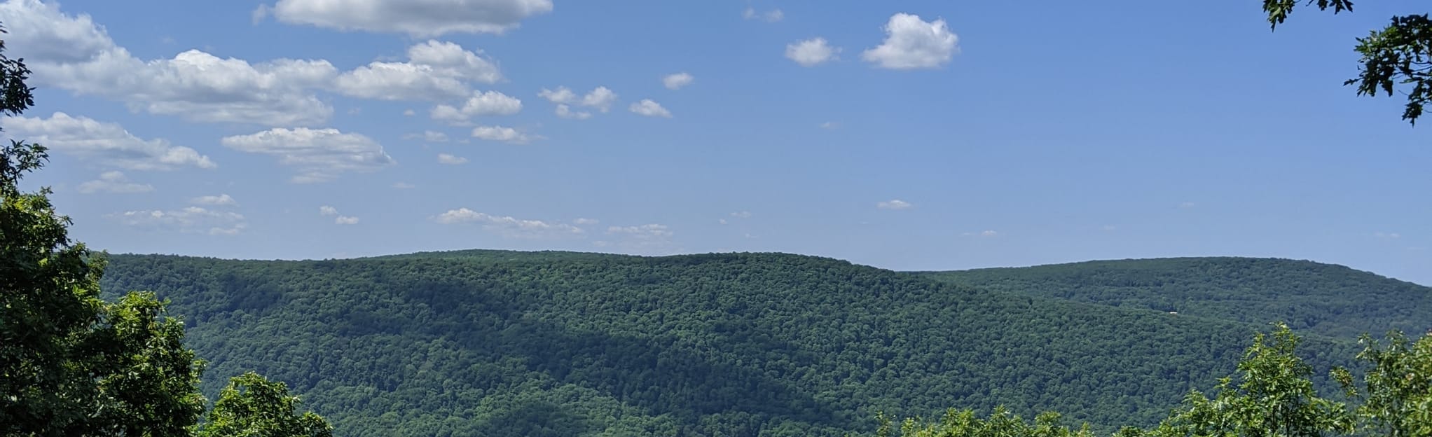 Abbott Loop Trail : 610 Photos - État de New York | Randonnée | AllTrails