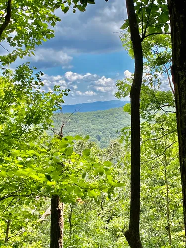 10 Best Trails and Hikes in Blue Ridge | AllTrails