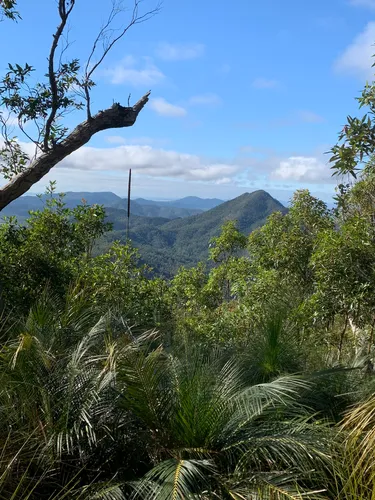 Best 10 Hiking Trails in Mount Archer National Park | AllTrails