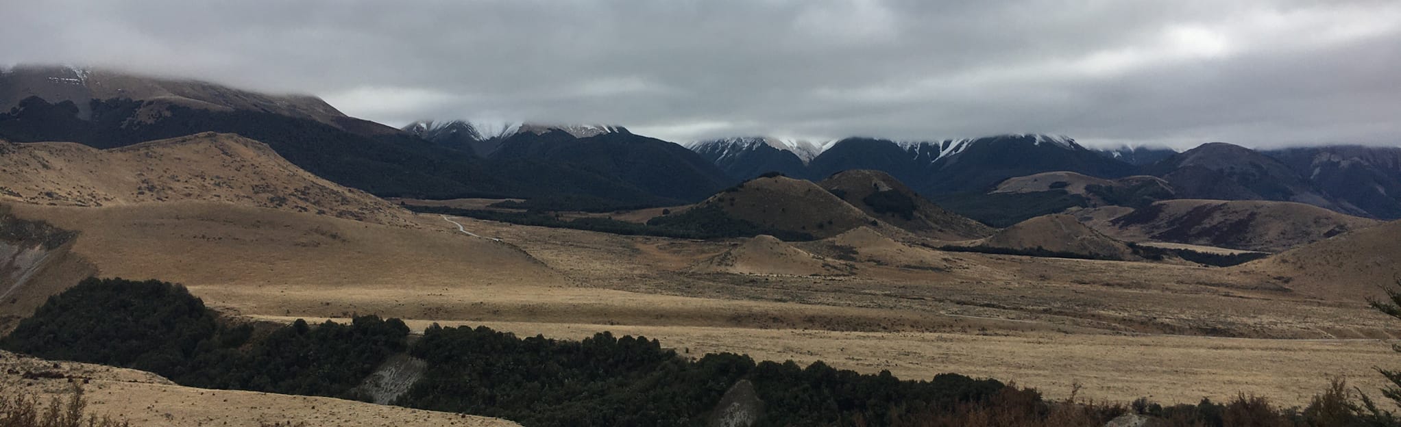 Hogs Back Track: 17 Reviews, Map - Canterbury, New Zealand | AllTrails