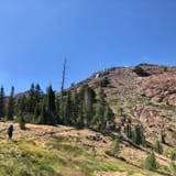 Bayview Trail to Velma Lakes, California - 346 Reviews, Map | AllTrails