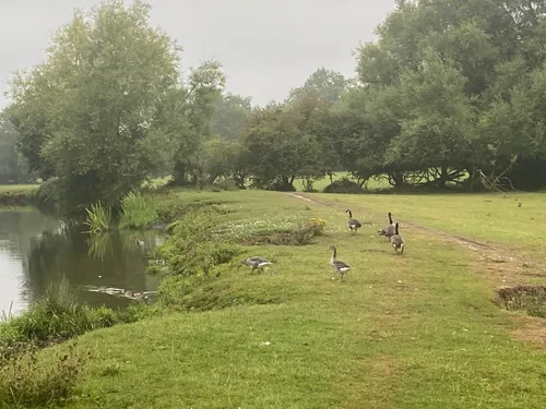 2023 Best 10 Trails, Walks, and Paths in Reading | AllTrails