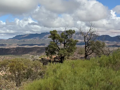 10 Best Trails and Hikes in Flinders Ranges | AllTrails