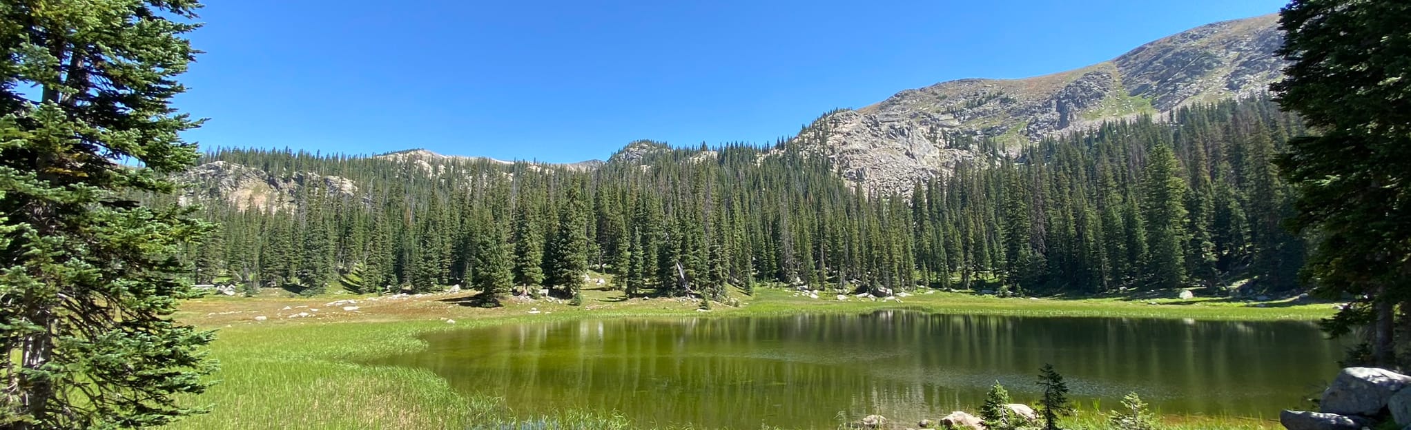 Watanga Lake via Roaring Fork Trail - Colorado | AllTrails