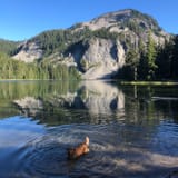 Indigo Lake Trail, Oregon - 59 Reviews, Map | AllTrails