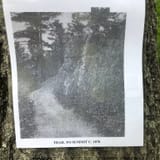 T Bagg Trail, Massachusetts - 280 Reviews, Map | AllTrails