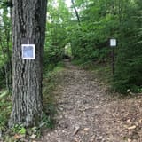 T Bagg Trail, Massachusetts - 280 Reviews, Map | AllTrails