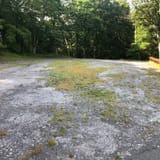 T Bagg Trail, Massachusetts - 280 Reviews, Map | AllTrails