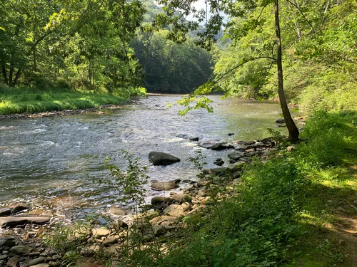 Best Hikes and Trails in Bluestone State Park | AllTrails