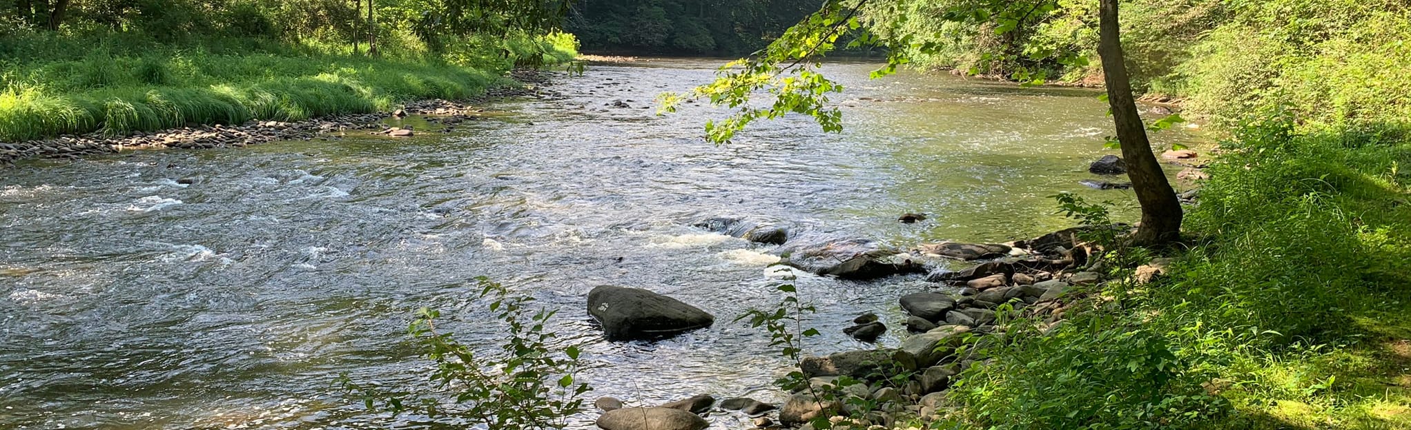 Bluestone Turnpike Trail, West Virginia - 16 Reviews, Map | AllTrails